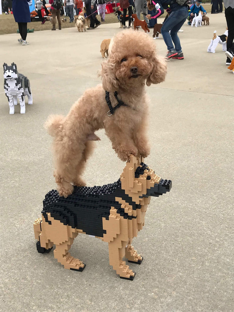 German Shepherd Dog Building Sets – LAminifigs