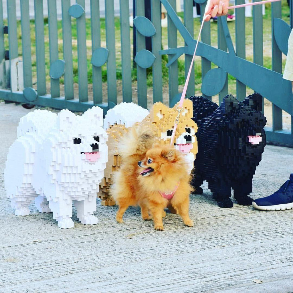 Pomeranian Dog Building Set – LAminifigs