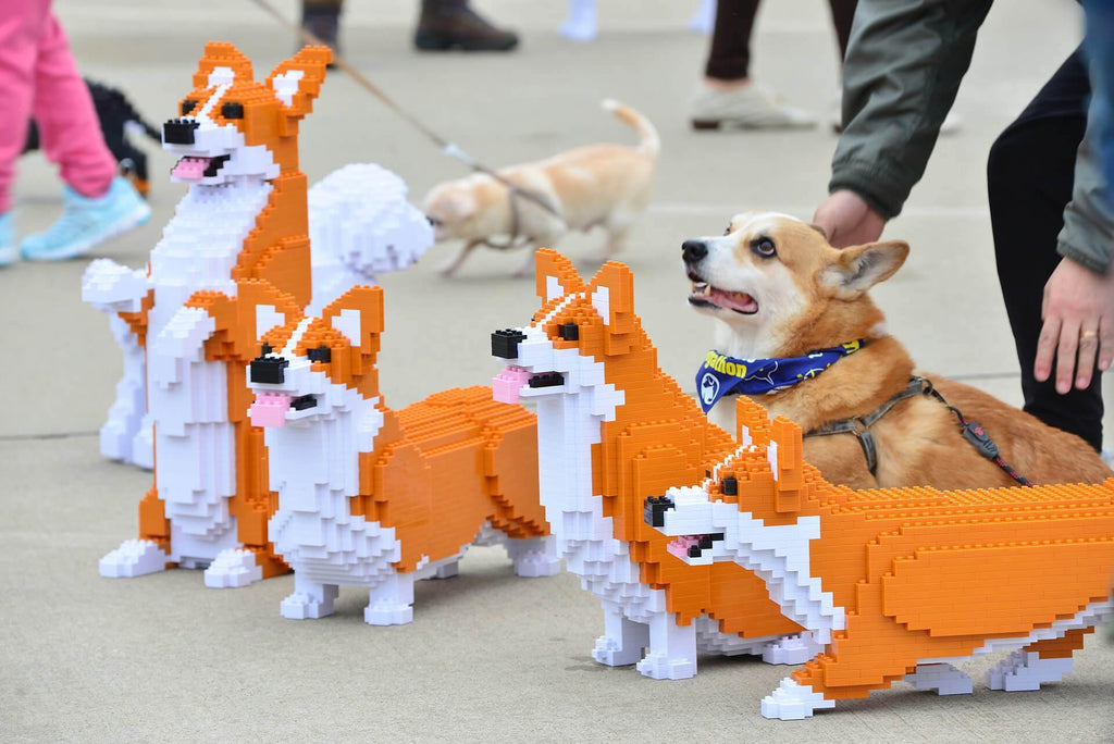 Welsh Corgi Dog Building Set – LAminifigs